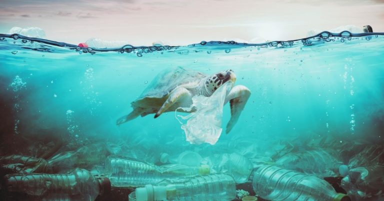 Top Environmental Journals - What And How To Get Published in 2025