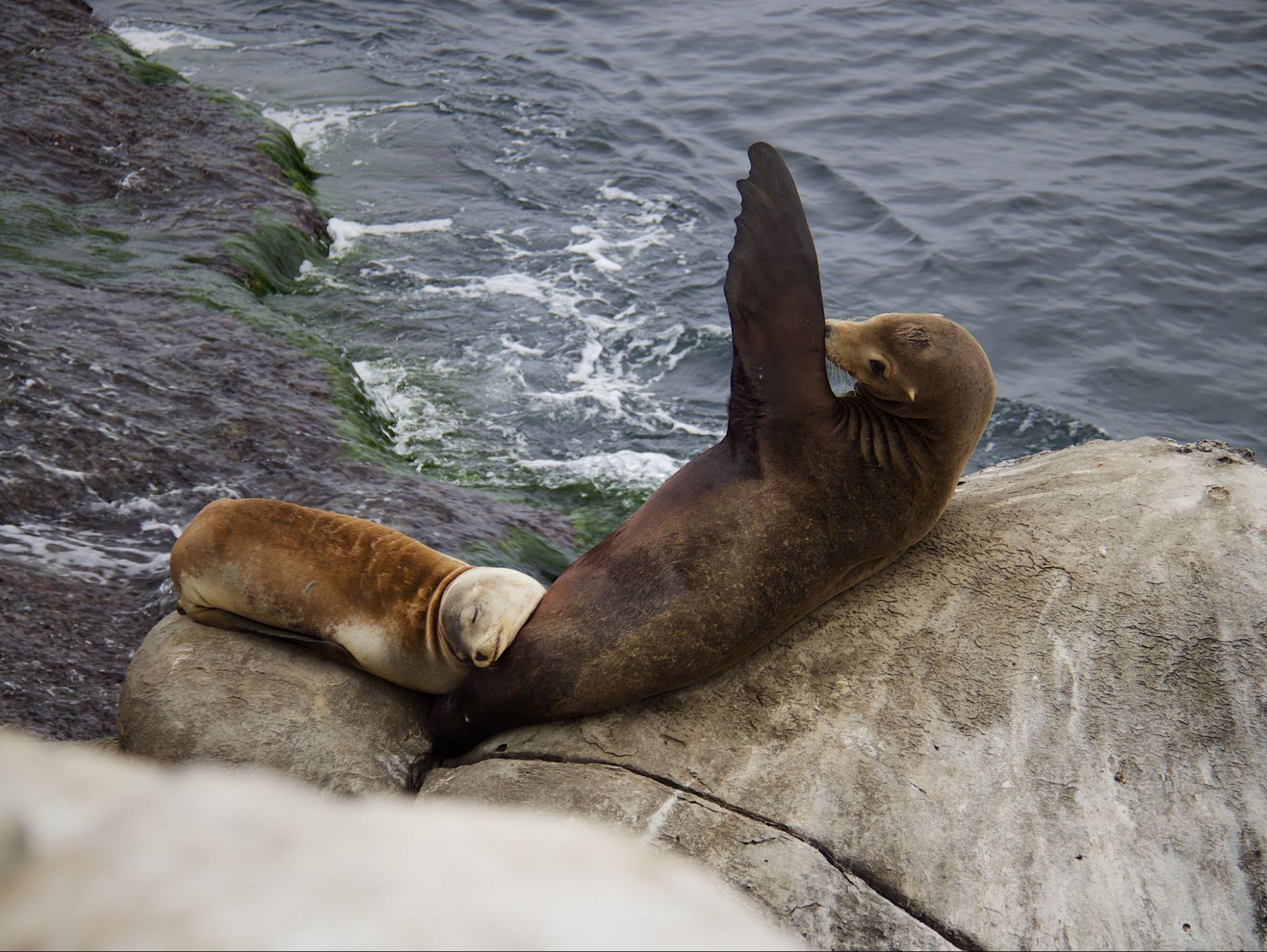 10 Highest Paying Marine Biology Jobs 2025