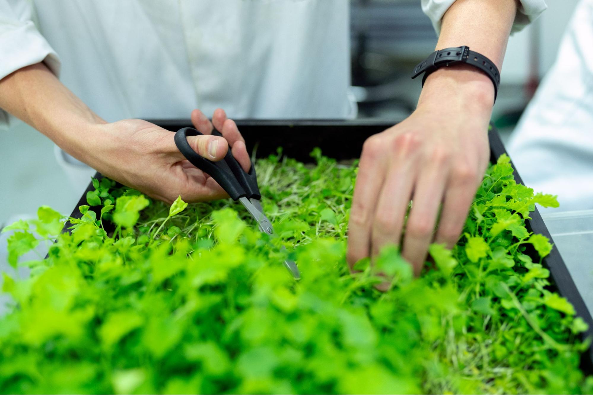 10 Highest Paying Jobs in Agriculture 2024