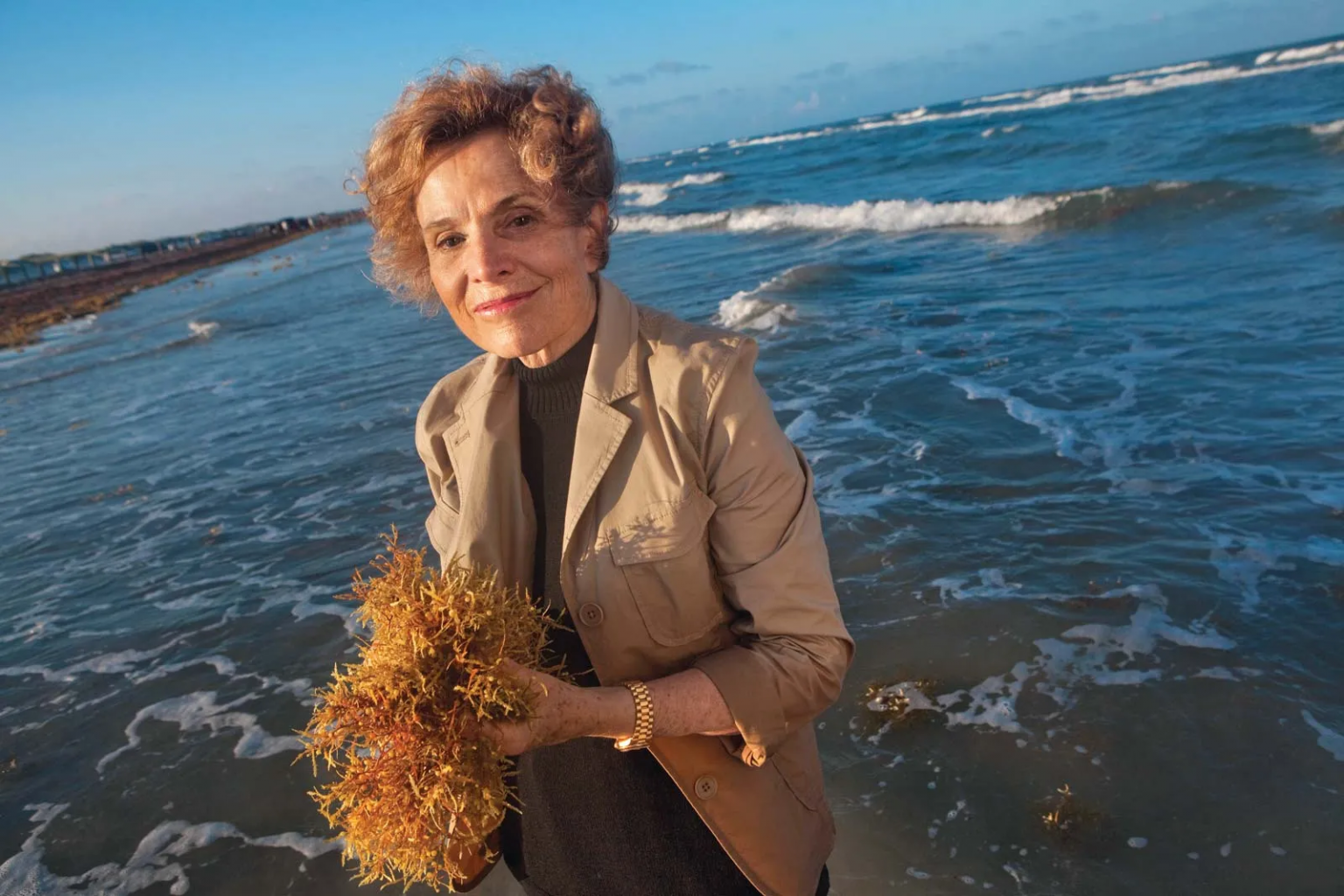 Top 17 Famous Marine Scientists That You Should Know 2026
