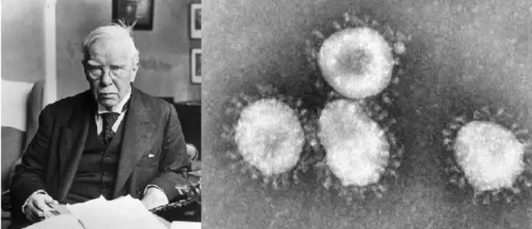 Top 30 Famous Medical Laboratory Scientists That You Should Know 2024