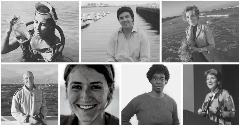 Top 16 Famous Shark Scientists That You Should Know 2024