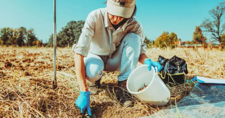 10 Highest Paying Soil Science Jobs to Consider 2025