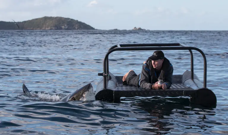 Top 16 Famous Shark Scientists That You Should Know 2024