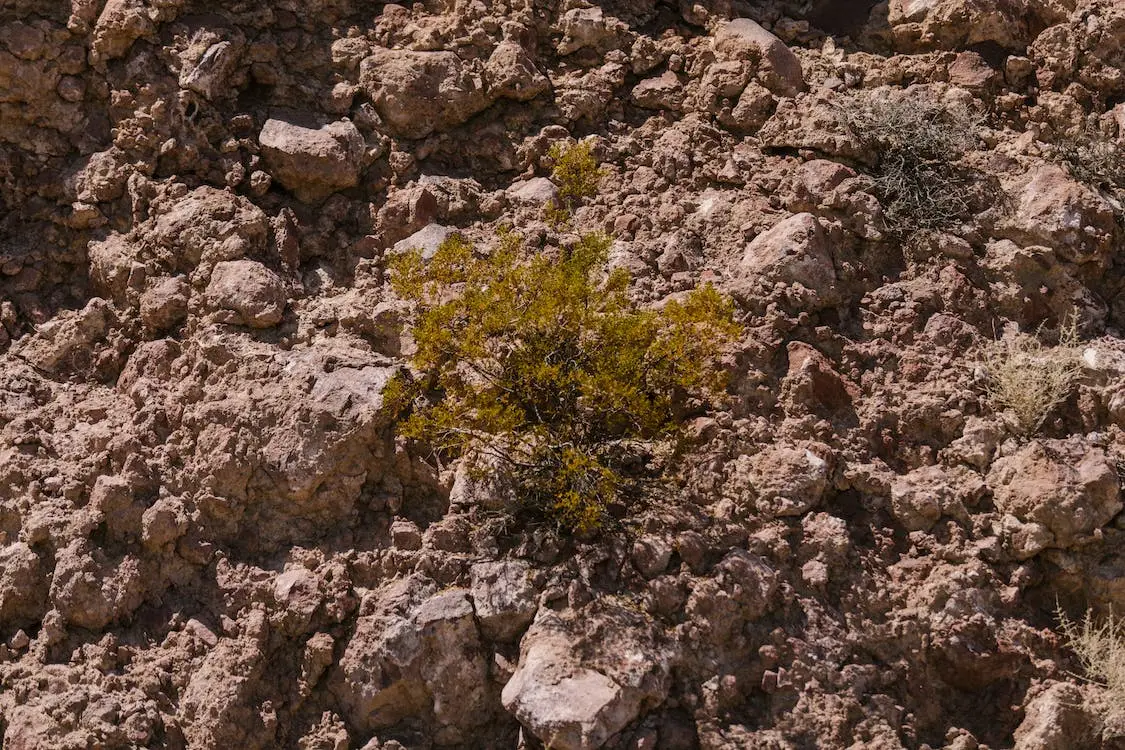 10 Highest Paying Soil Science Jobs to Consider 2025