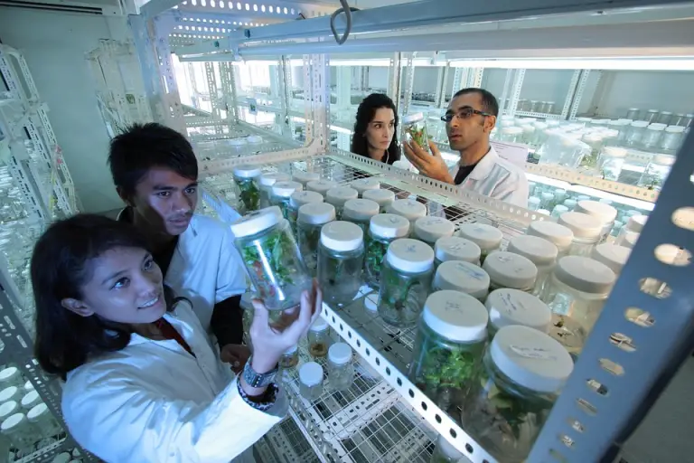 10 Highest Paying Jobs For Biotechnology Majors to Consider 2025