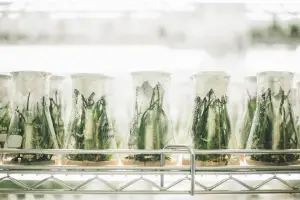 10 Highest Paying Earth Science Jobs to Consider 2026