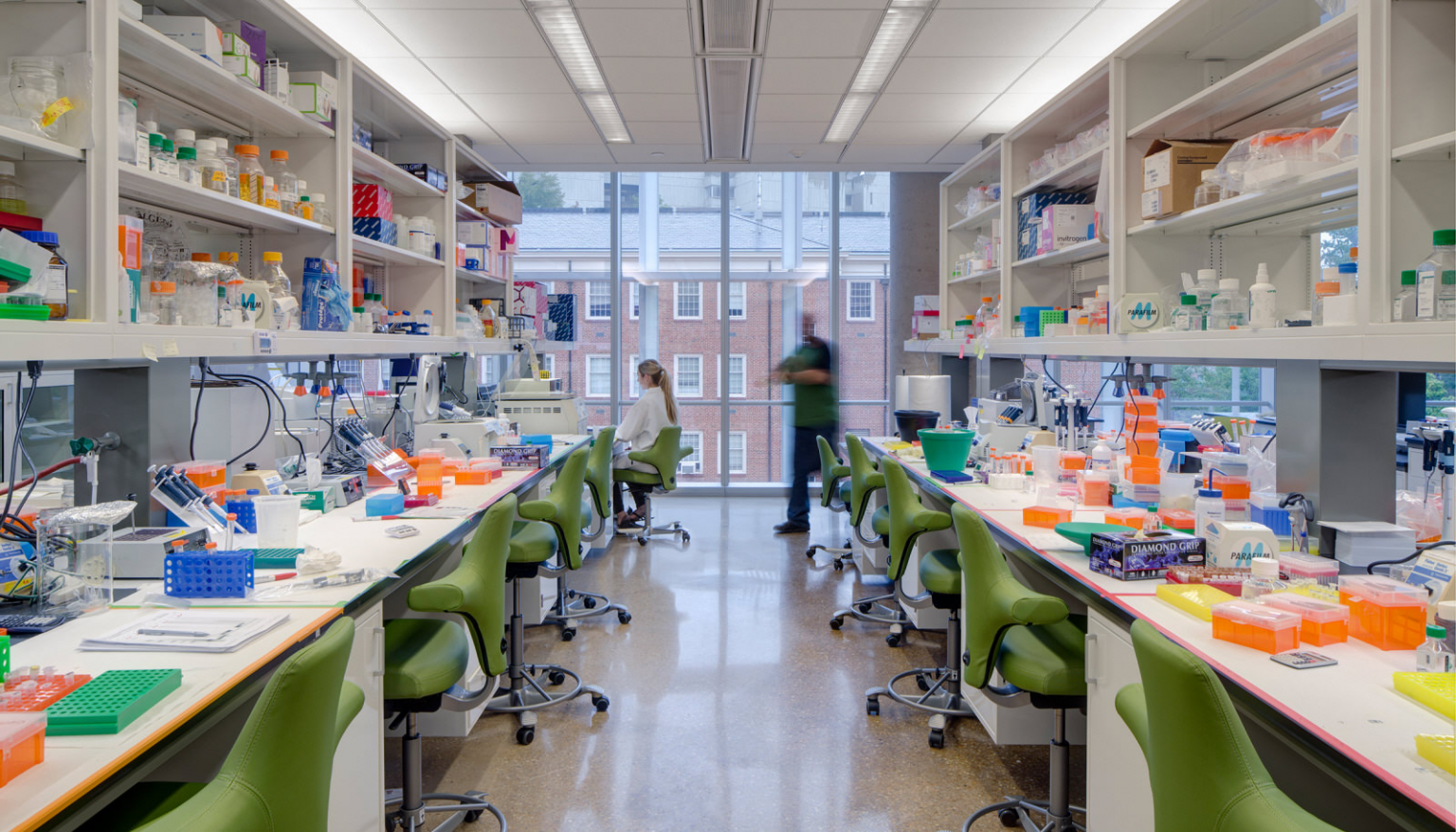 25 Best Schools For Biology In The US 2025