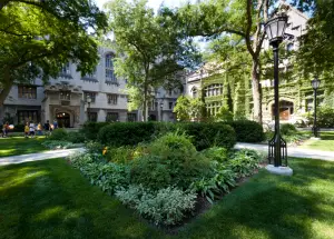 25 Best Schools For Linguistics In The US 2025