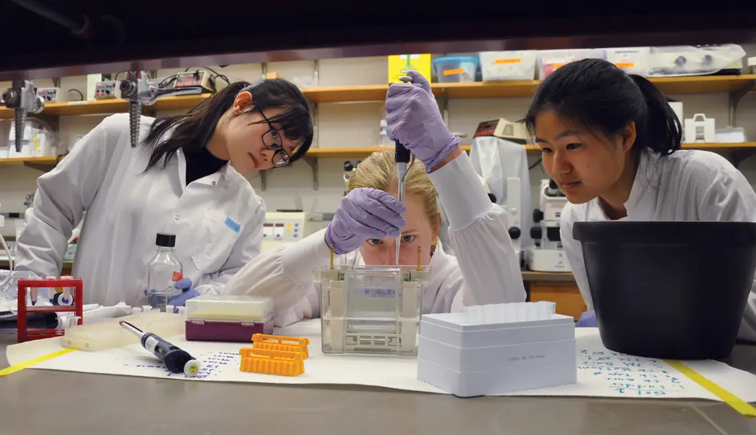 25 Best Schools For Biology In The US 2025