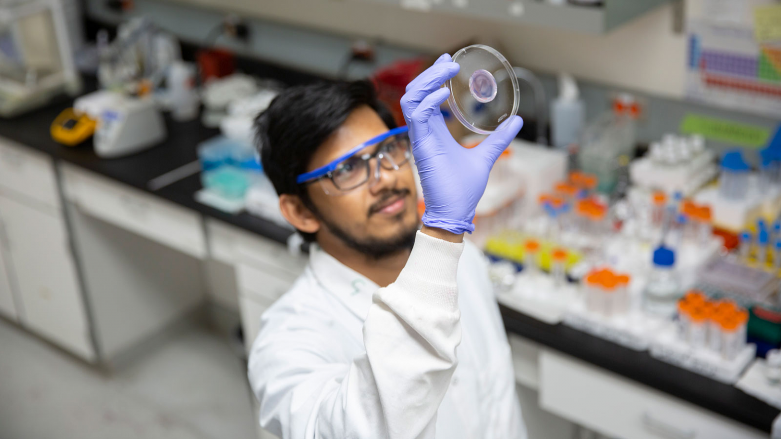 25 Best Chemical Engineering Schools 2024