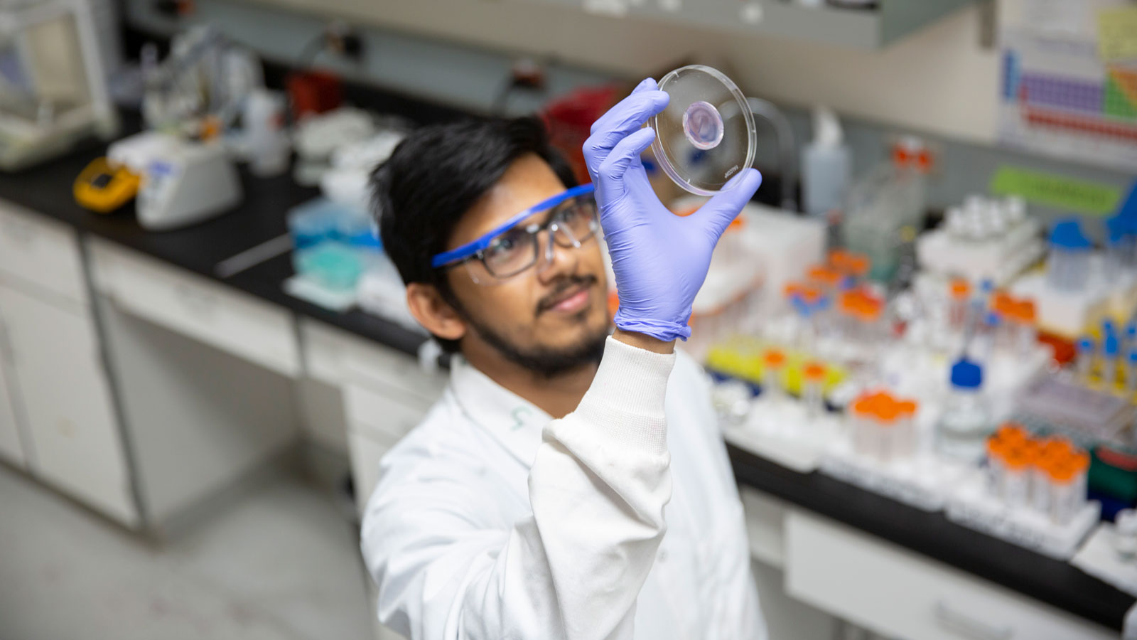 25 Best Chemical Engineering Schools 2024