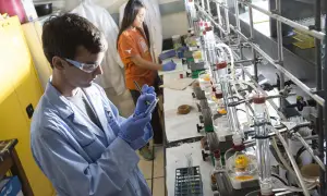 25 Best Chemical Engineering Schools 2024