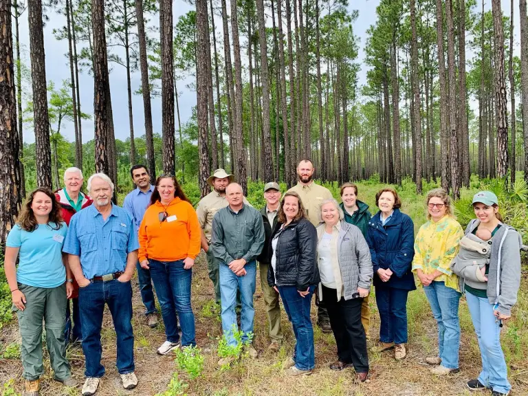 25 Best Forestry Schools In The US 2024