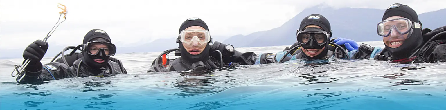 25 Best Schools For Marine Biology In The US 2024