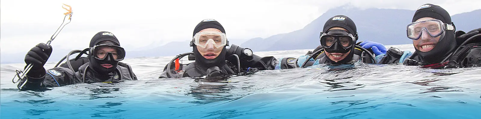 25 Best Schools For Marine Biology In The US 2024