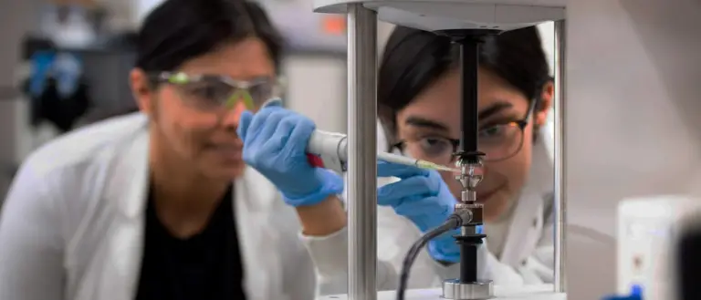 25 Best Schools For Marine Biology In The US 2024