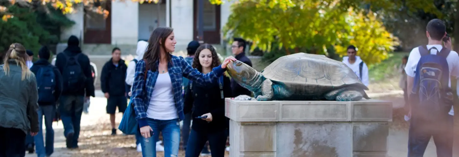 25 Best Schools For Renewable Energy Degrees In The US 2025