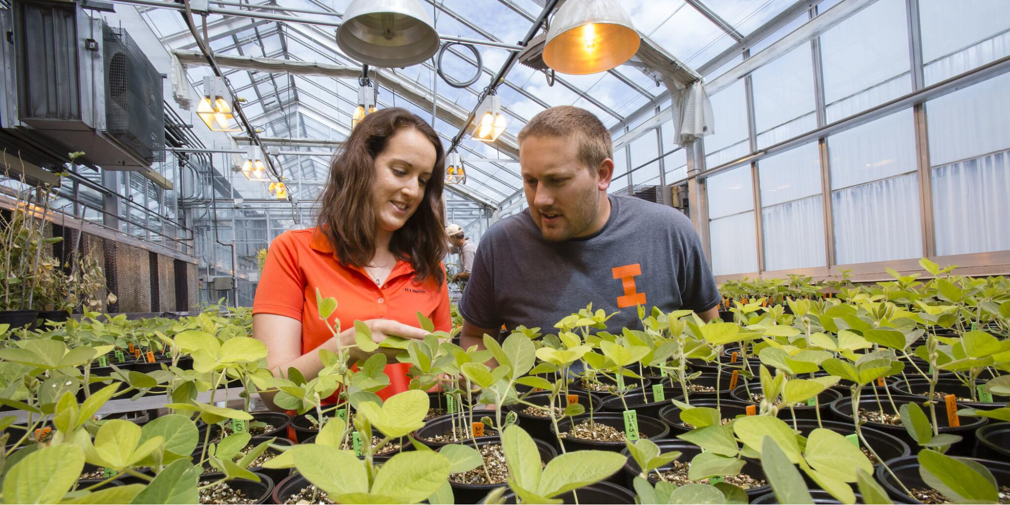25 Best Schools For Agricultural Sciences In The US 2026