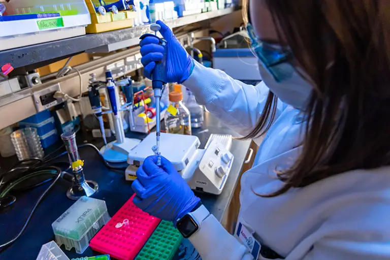 25 Best Microbiology Schools In The US 2024