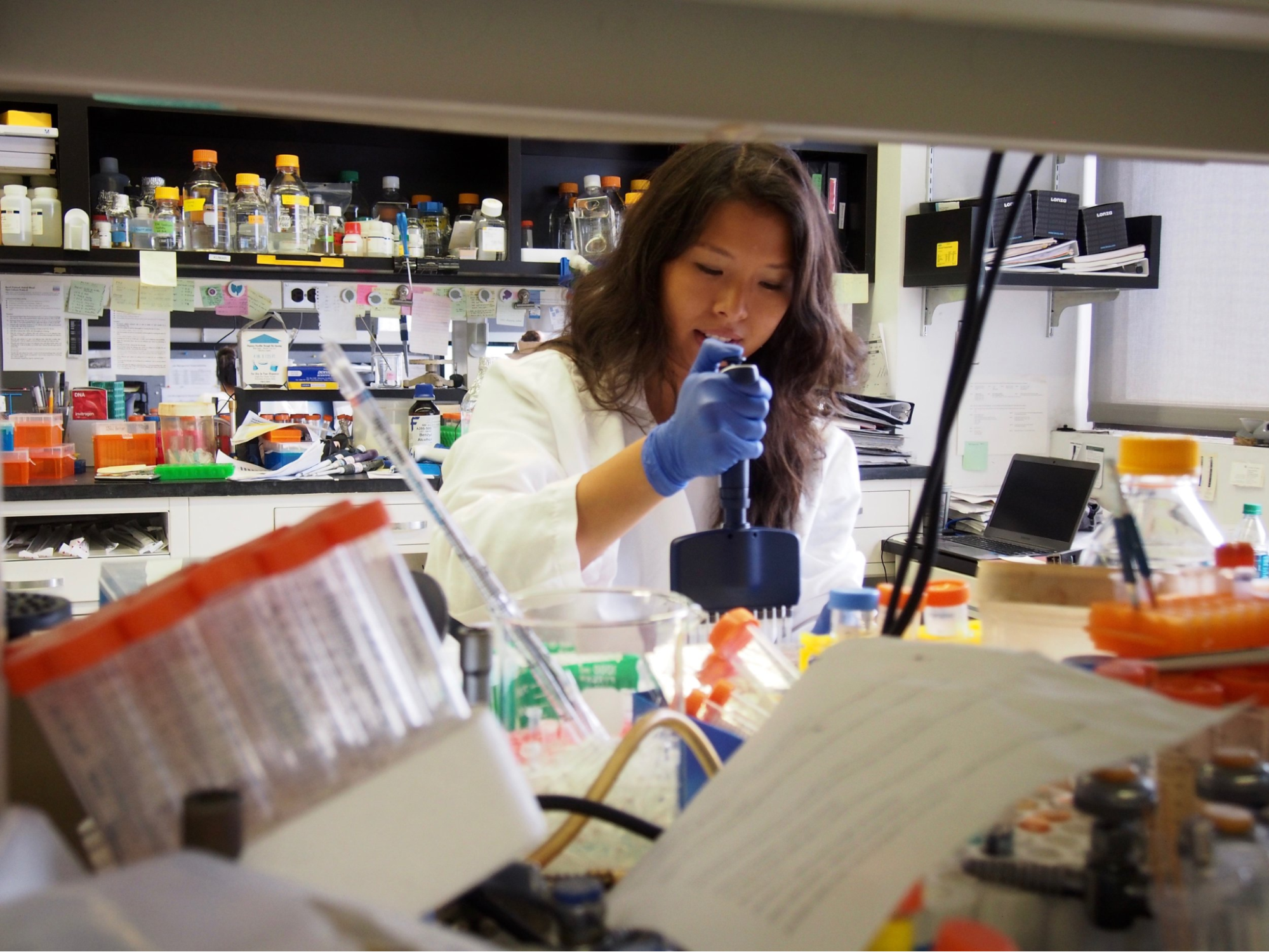 25 Best Microbiology Schools In The US 2024