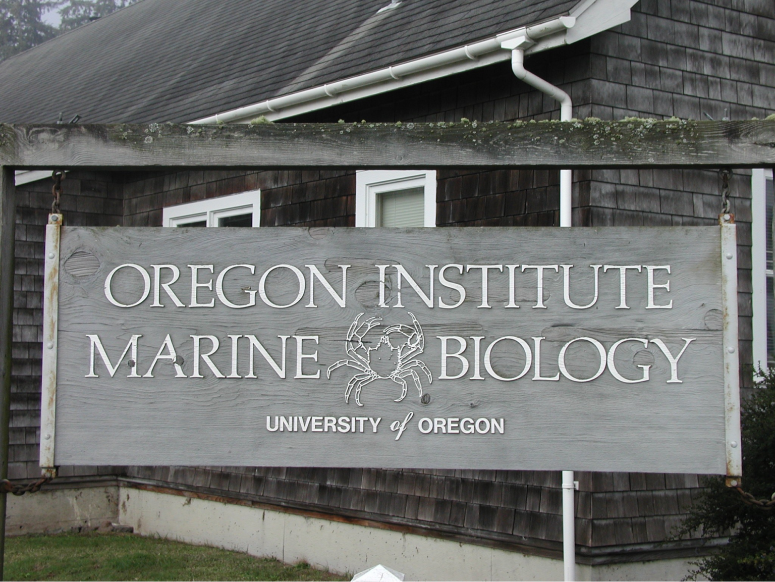 25 Best Schools For Marine Biology In The US 2023