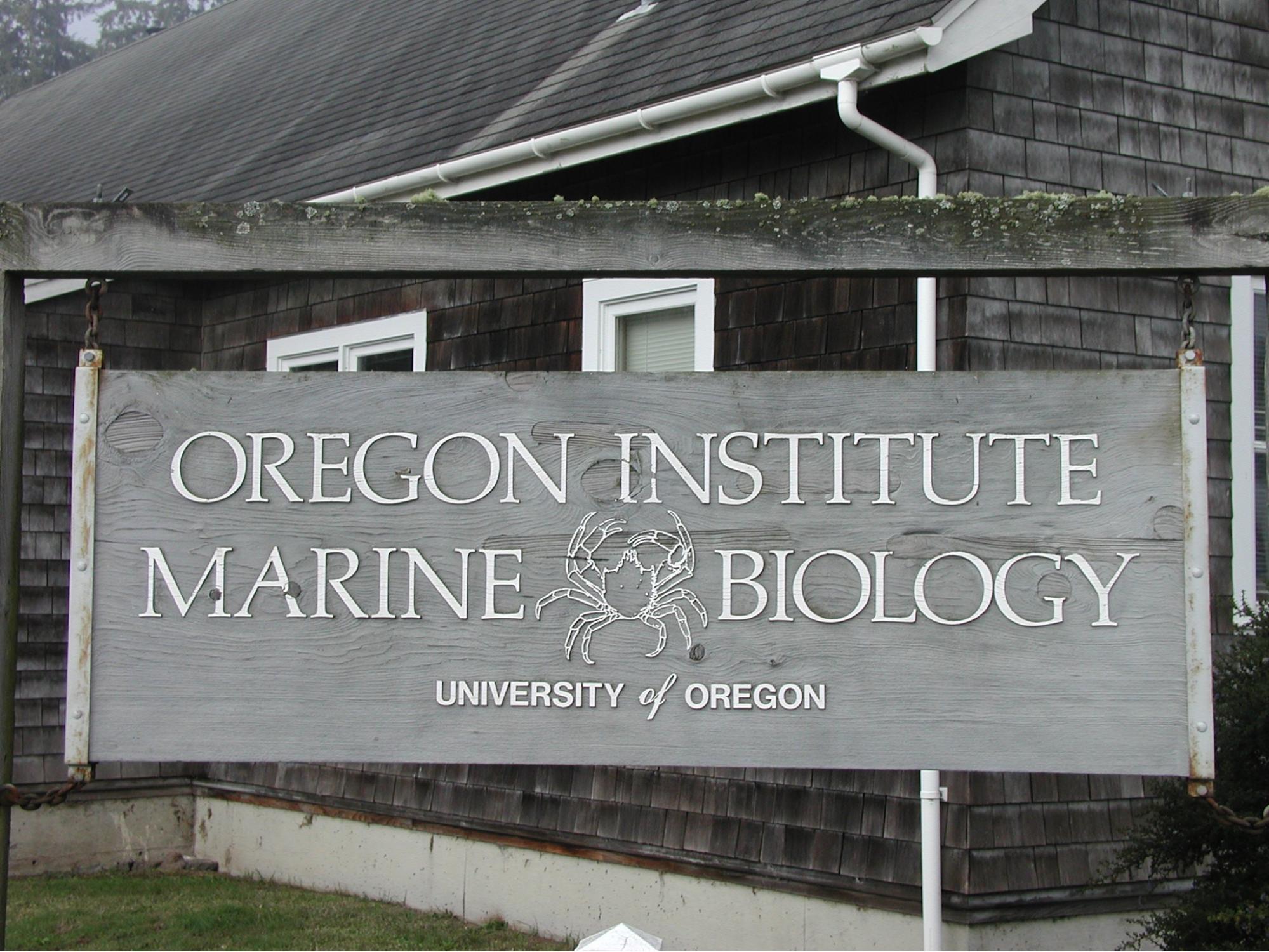 25 Best Schools For Marine Biology In The US 2023