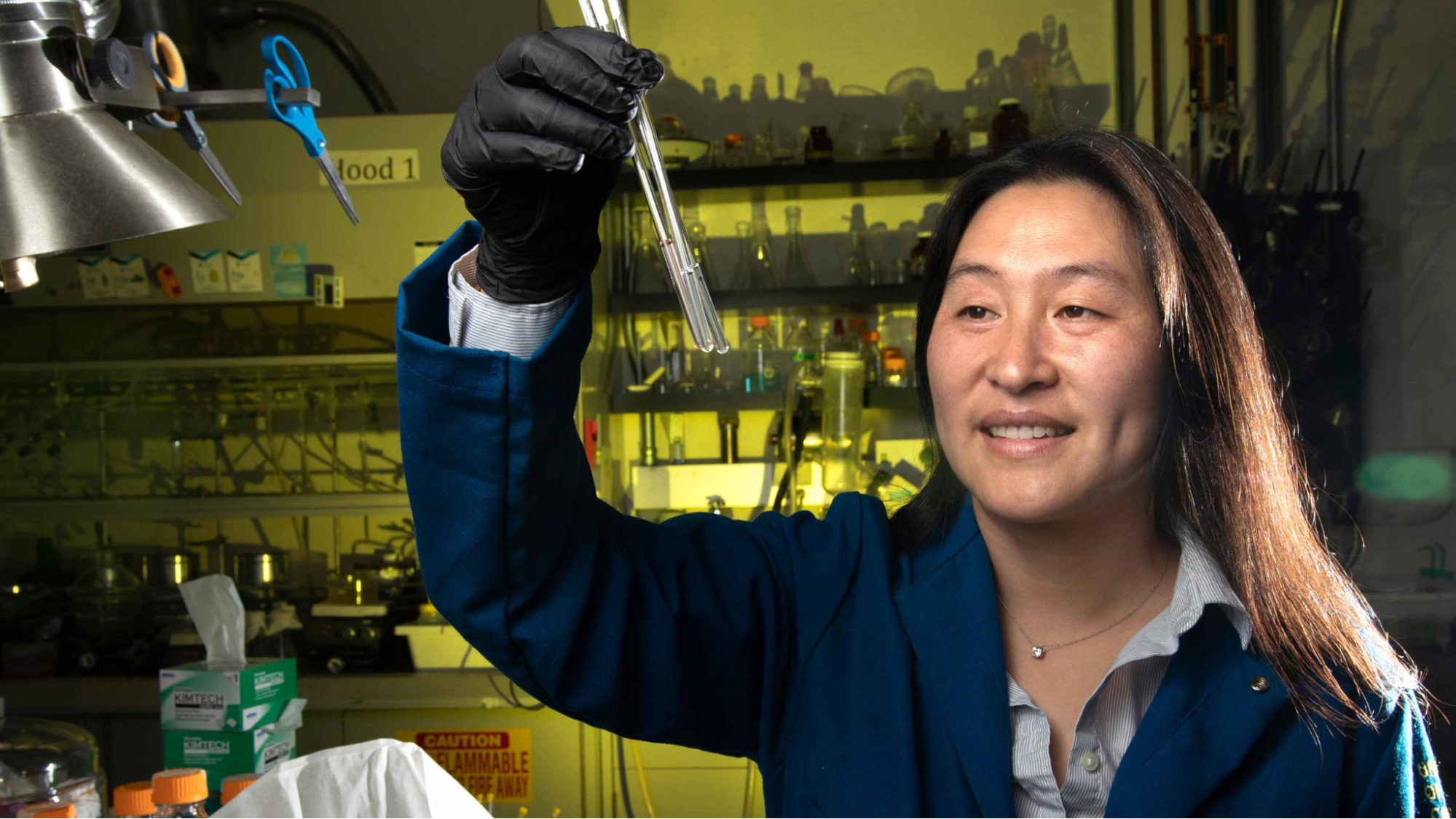 25 Best Material Science Schools In The US 2025