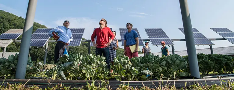 25 Best Schools For Renewable Energy Degrees In The US 2025