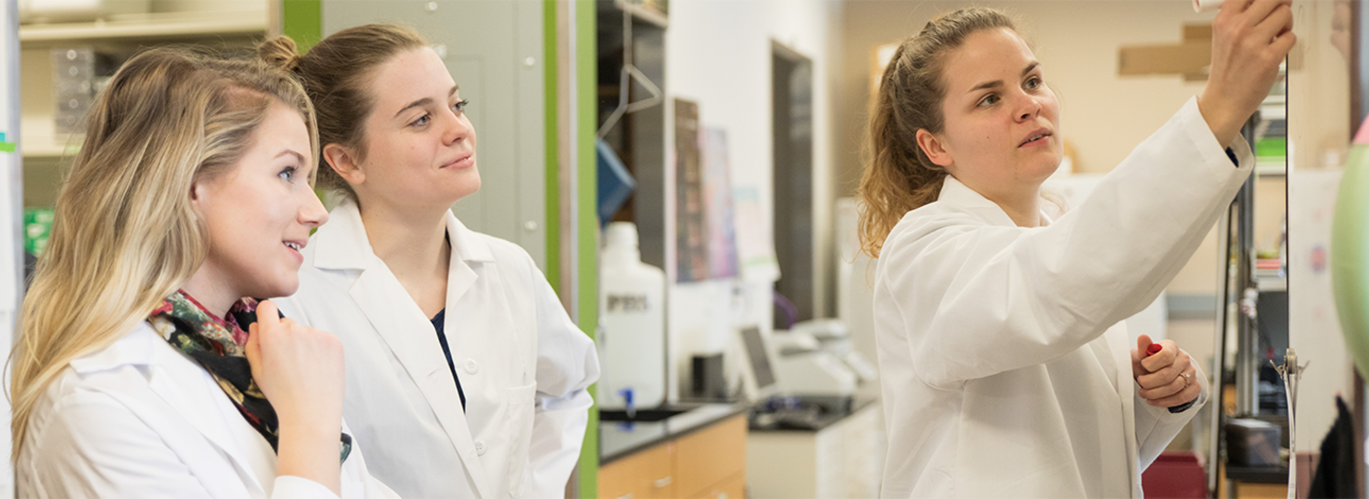 25 Best Microbiology Schools In The US 2024