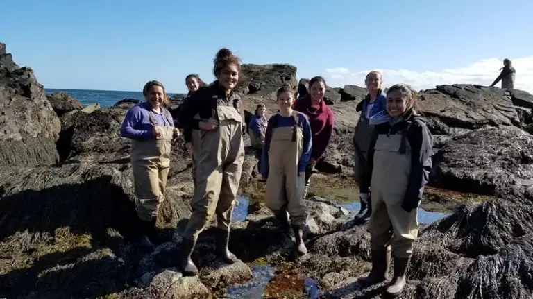 25 Best Schools For Environmental Science In The US 2025