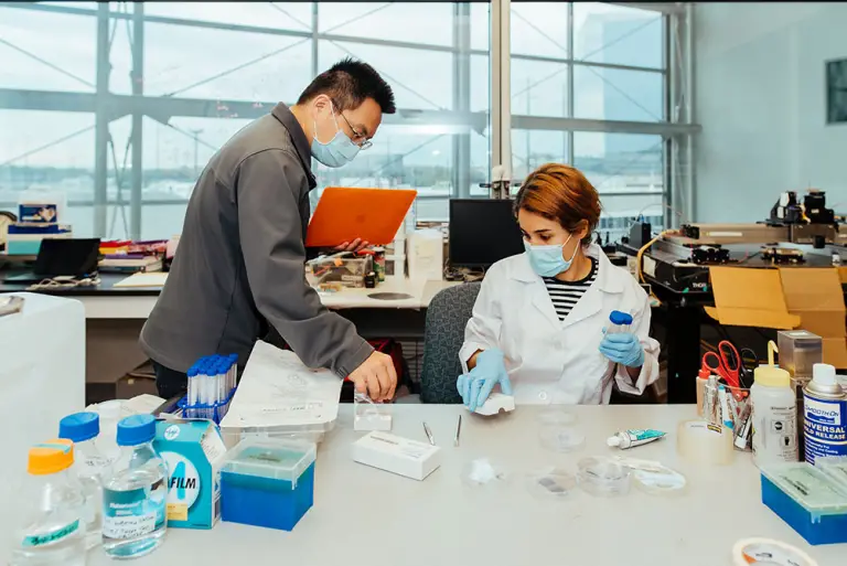 25 Best Material Science Schools In The US 2025