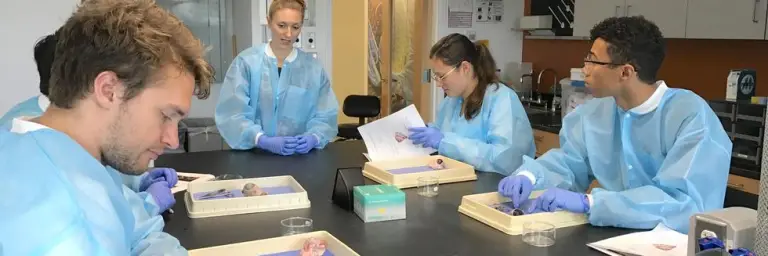 25 Best Schools For Marine Biology In The US 2024