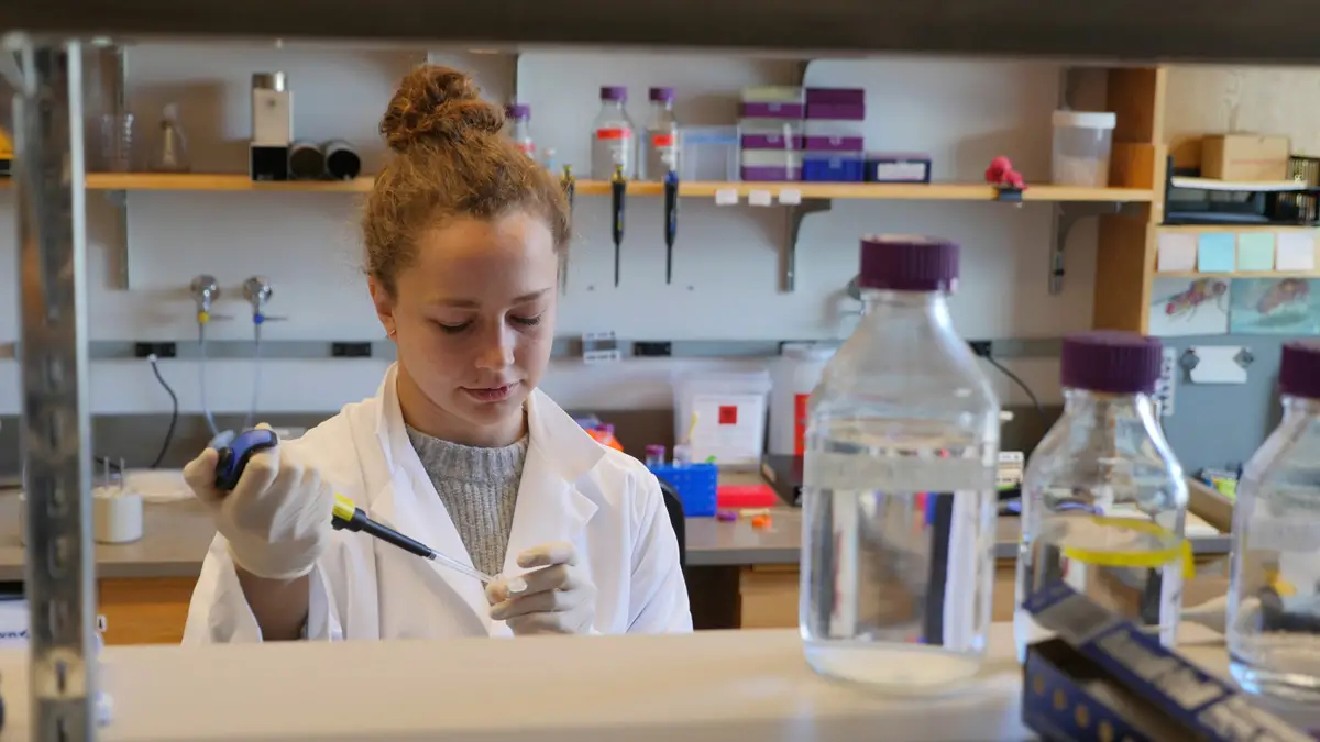 25 Best Microbiology Schools In The US 2024