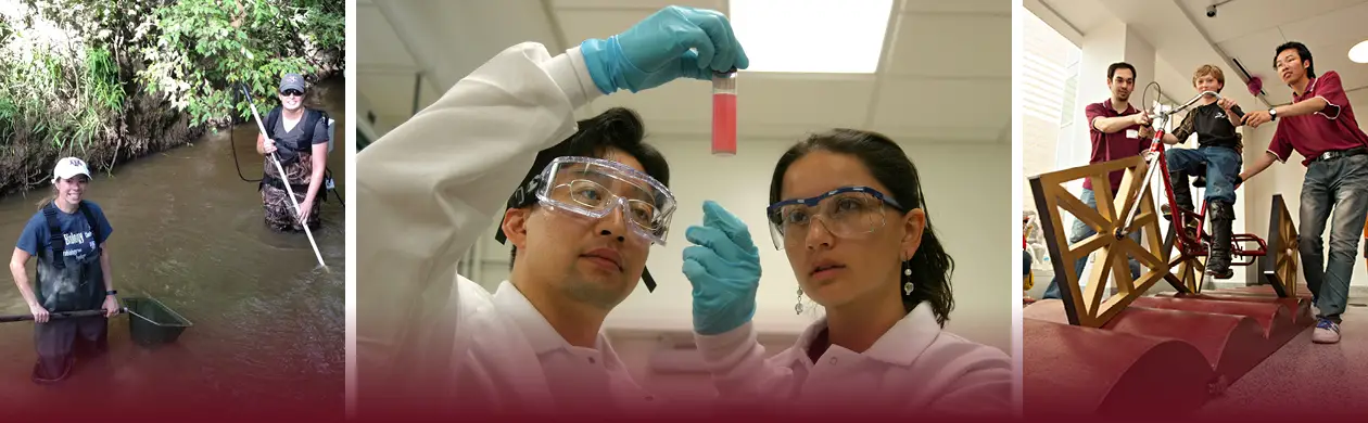 25 Best Zoology Schools In The US 2025