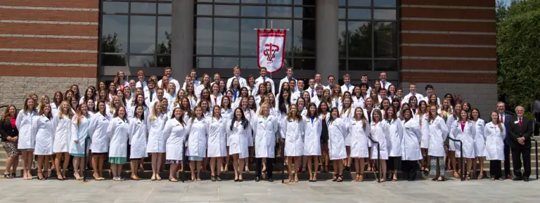 25 Best Veterinary Schools In The US 2025