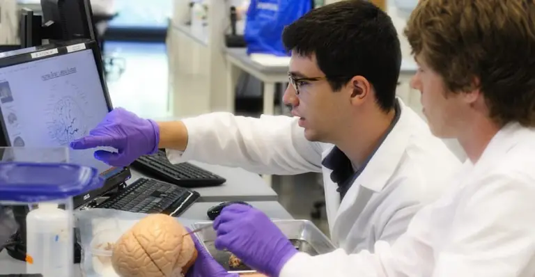 25 Best Schools For Neuroscience In The US 2025