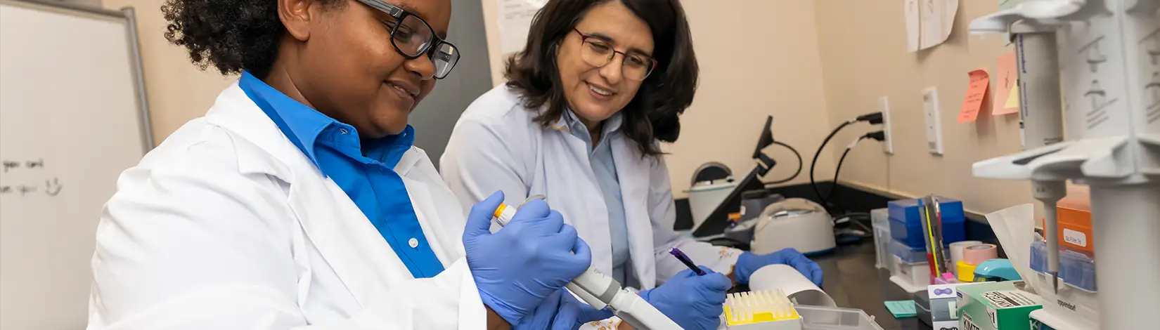 25 Best Schools For Soil Sciences In The US 2026