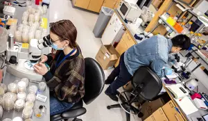 25 Best Schools For Neuroscience In The US 2026