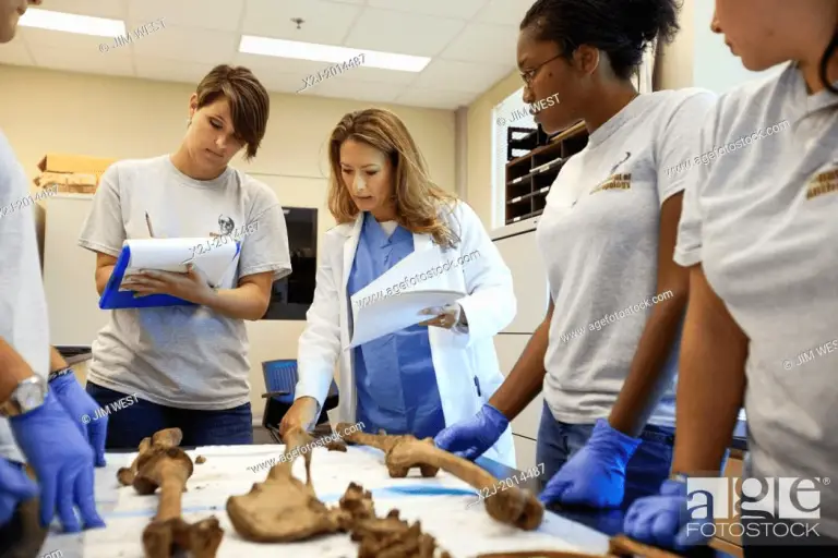 25 Best Schools For Forensic Science In The US 2024