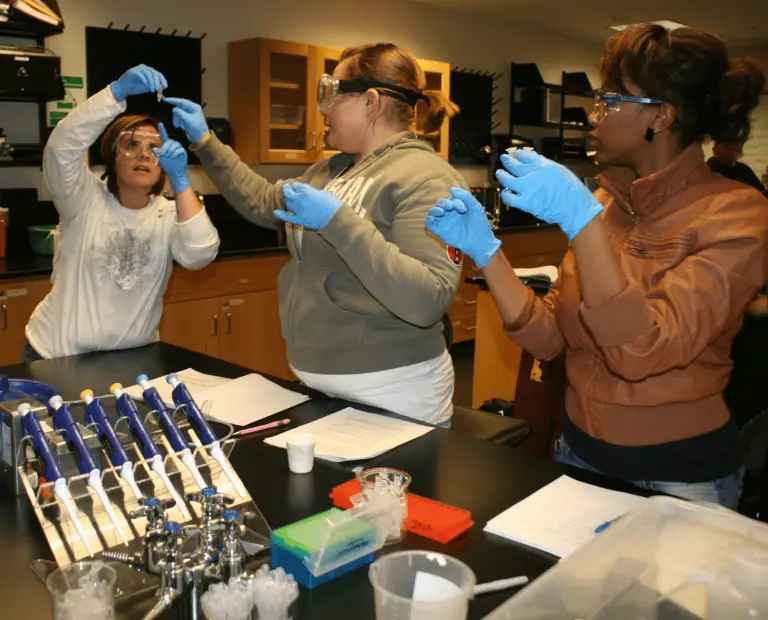 25 Best Schools For Forensic Science In The US 2024
