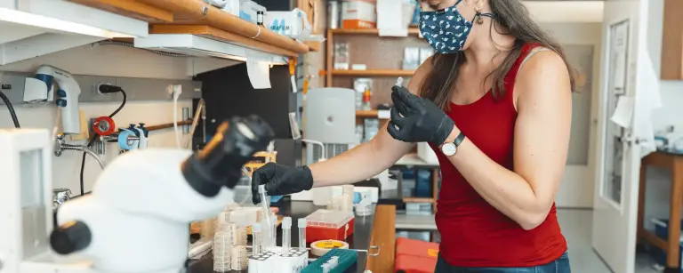 25 Best Schools For Forensic Science In The US 2024