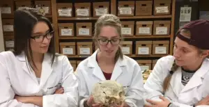 25 Best Schools For Forensic Science In The US 2024