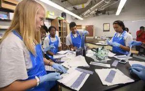 25 Best Schools For Forensic Science In The US 2024