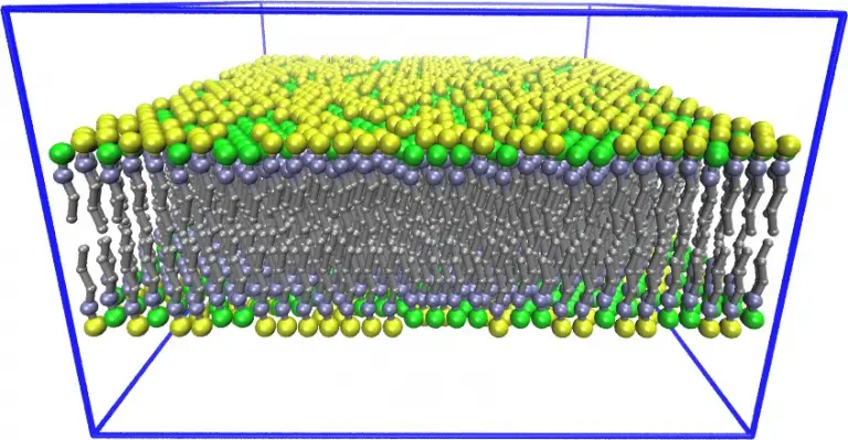 20 Best Software for Molecular Modeling and Simulations in Academia 2024